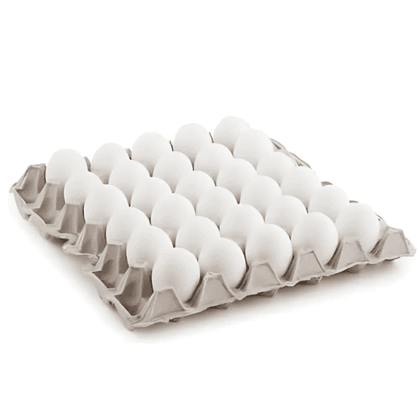 White Egg Tray 30 Pcs